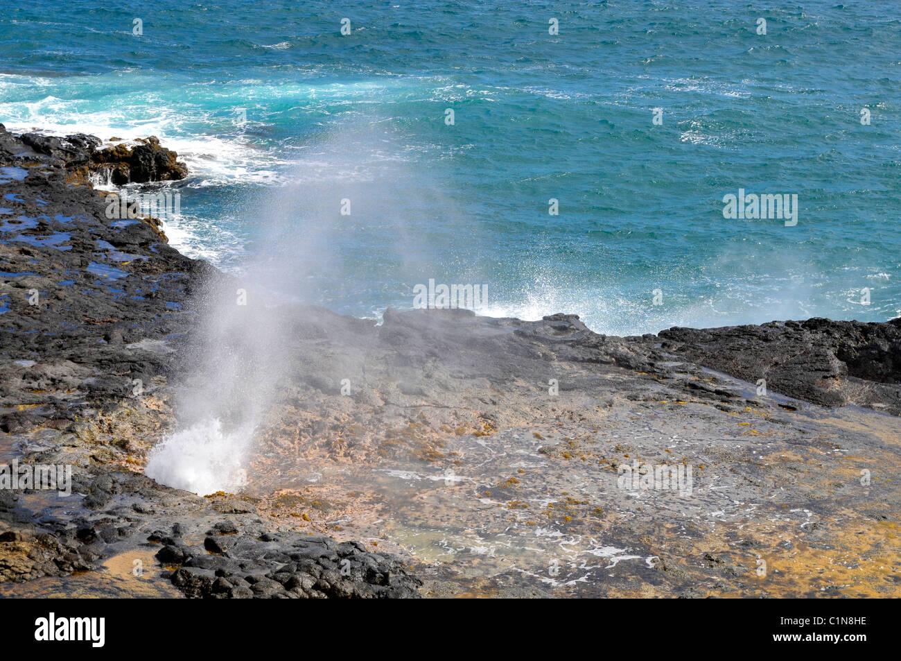 Spouting Horn Popui Kauai Hawaii Lava Shoreline Pacific Ocean Stock ...