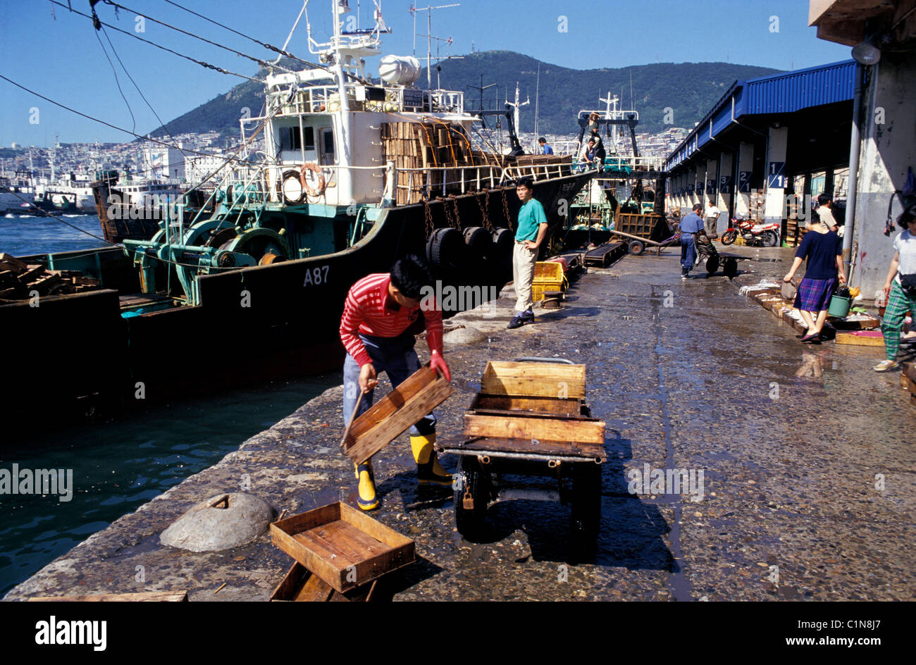 South Korea, Pusan, fish market Stock Photo - Alamy