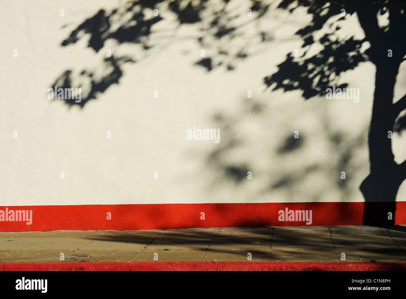 Tree shadow wall hi-res stock photography and images - Alamy