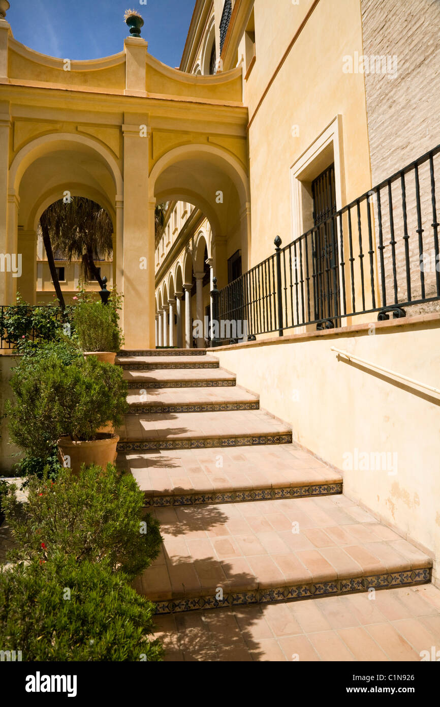 Garden path with broad & shallow steps to the grounds / to the gardens ...