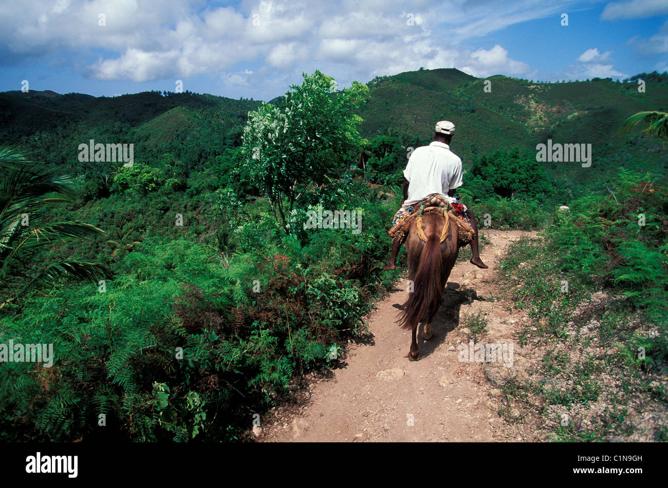 Man samana peninsula dominican republic hi-res stock photography and ...