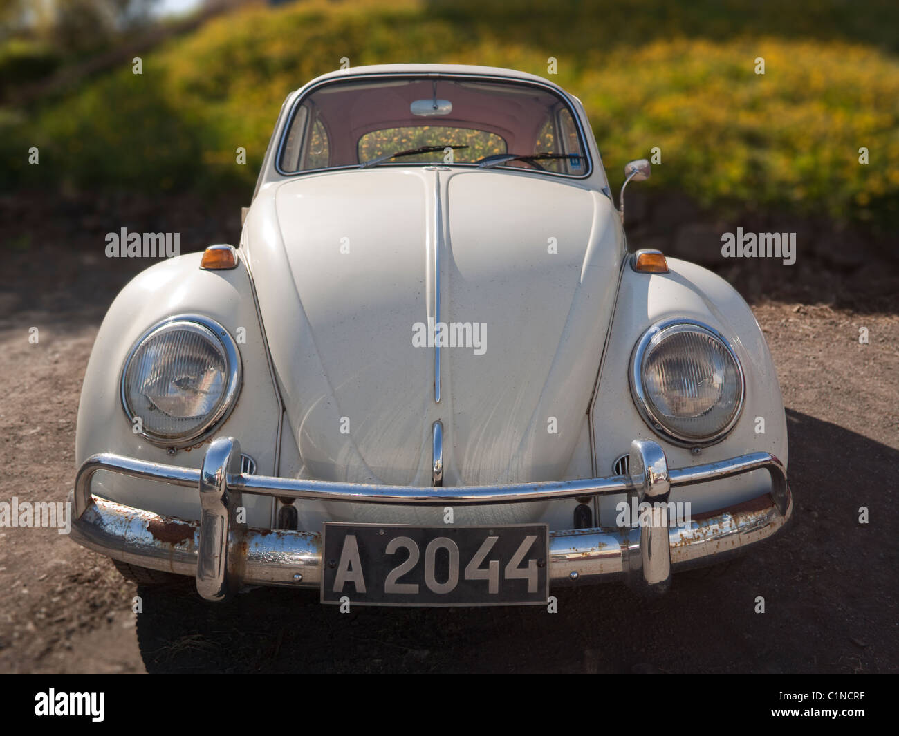 Old vw beetle hi-res stock photography and images - Alamy