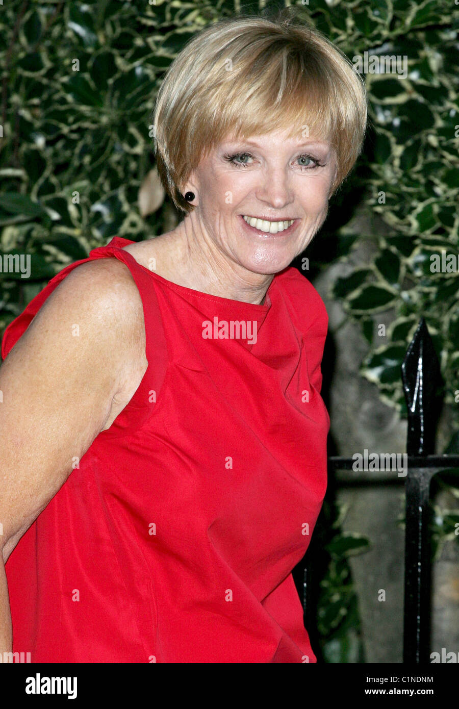Anne robinson hi-res stock photography and images - Alamy