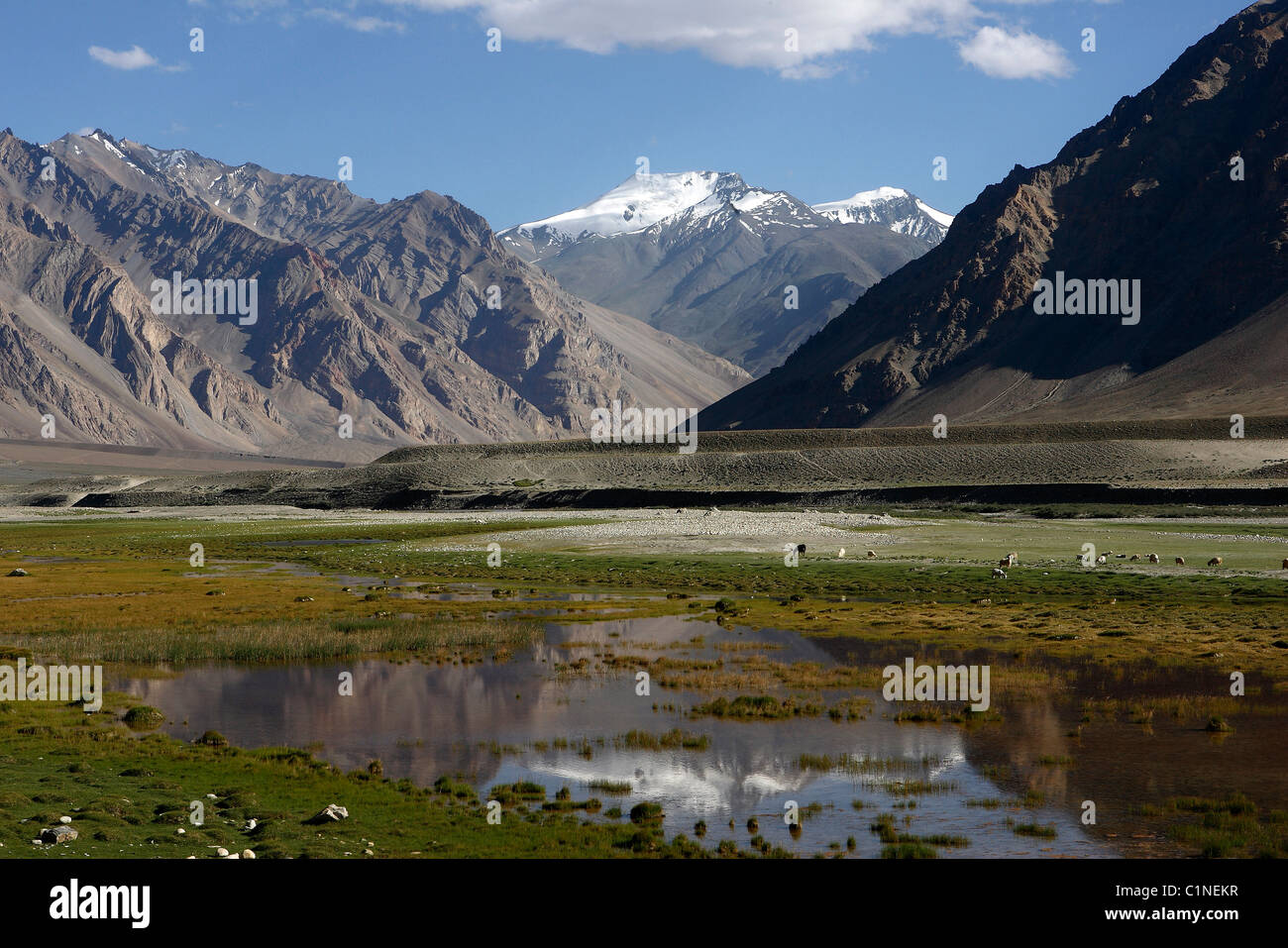 India, Jammu and Kashmir, Zanskar, Zanskar river and the Himalaya ...