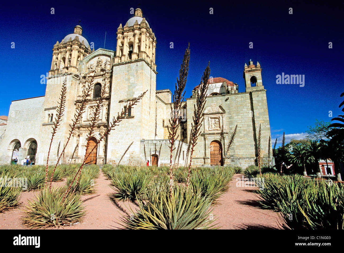 Mexico, Oaxaca State, Oaxaca city, Santo Domingo church Stock Photo - Alamy