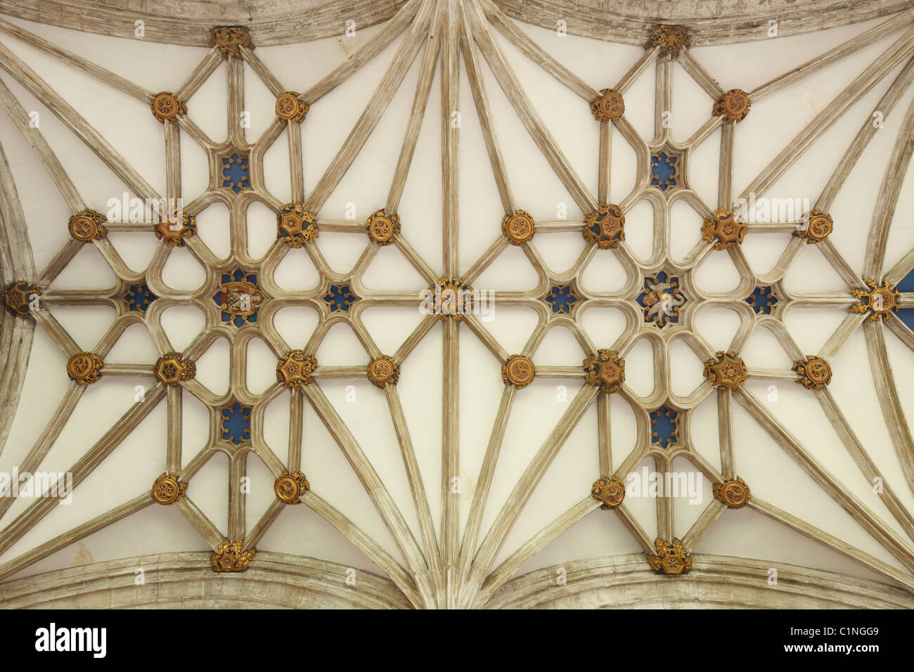 Warwick, St Mary, Beauchamp Chapel Stock Photo - Alamy