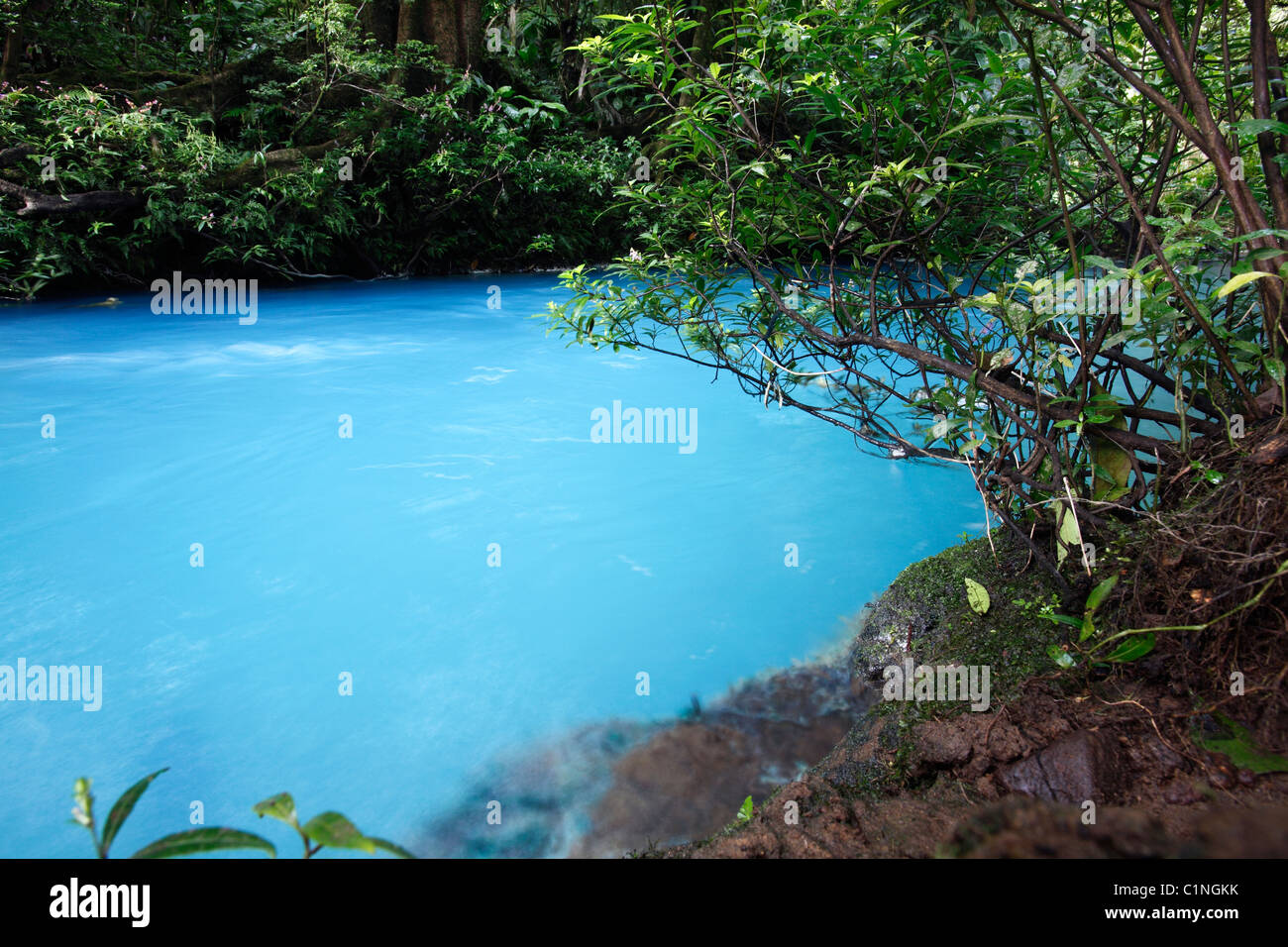 Rio Celeste, Parque Nacional Volcan Tenorio, Costa Rica Stock Photo - Alamy