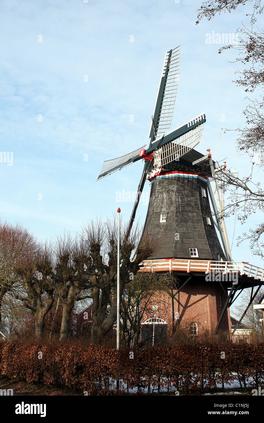 Windmill in North Netherlands in Europe Stock Photo - Alamy