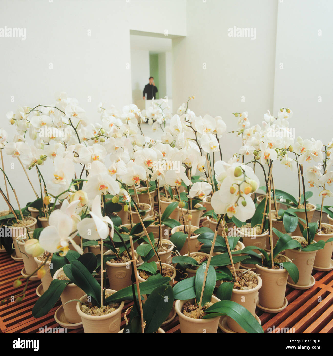 The Hempel Hotel Stock Photo - Alamy