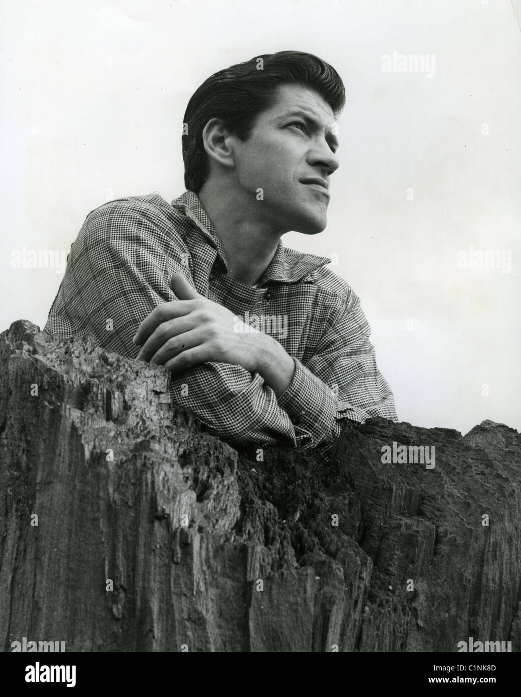 MICHAEL HOLLIDAY (1924-1963) UK pop singer Stock Photo - Alamy