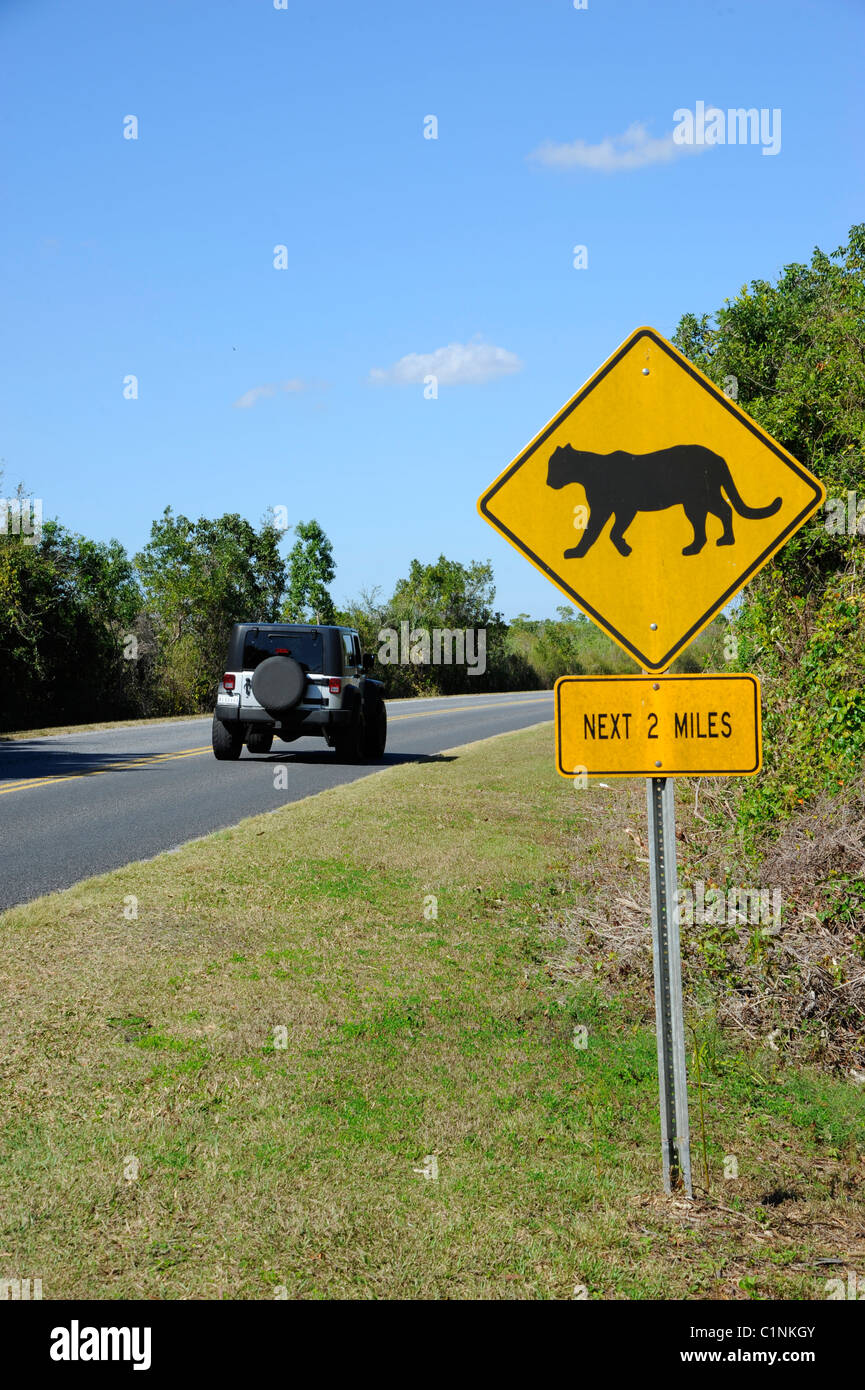 Panther Crossing Sign Everglades National Park FL US Wildlife Eco ...