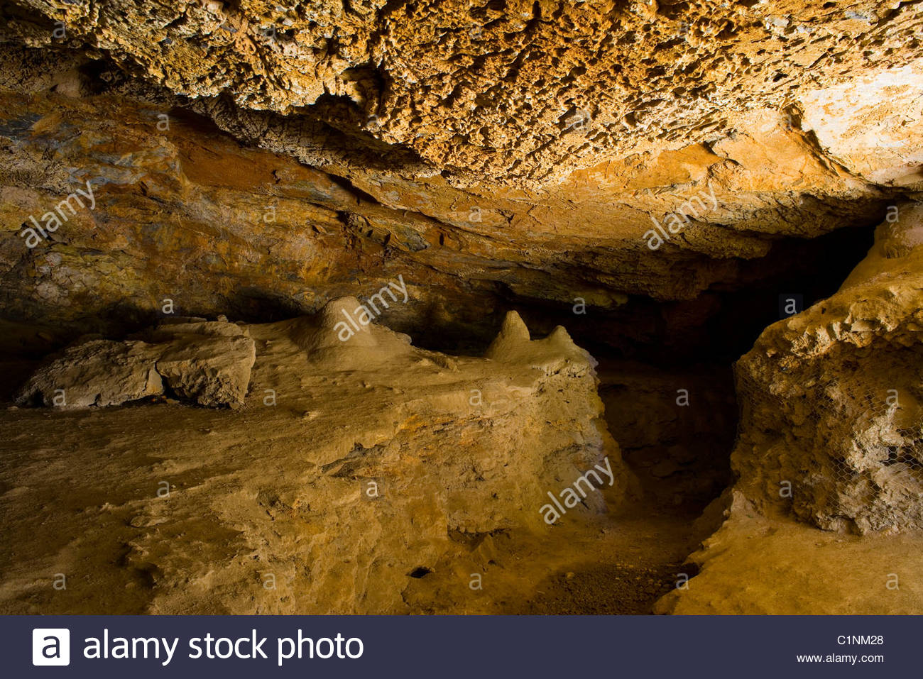 Peking Man Stock Photos & Peking Man Stock Images - Alamy