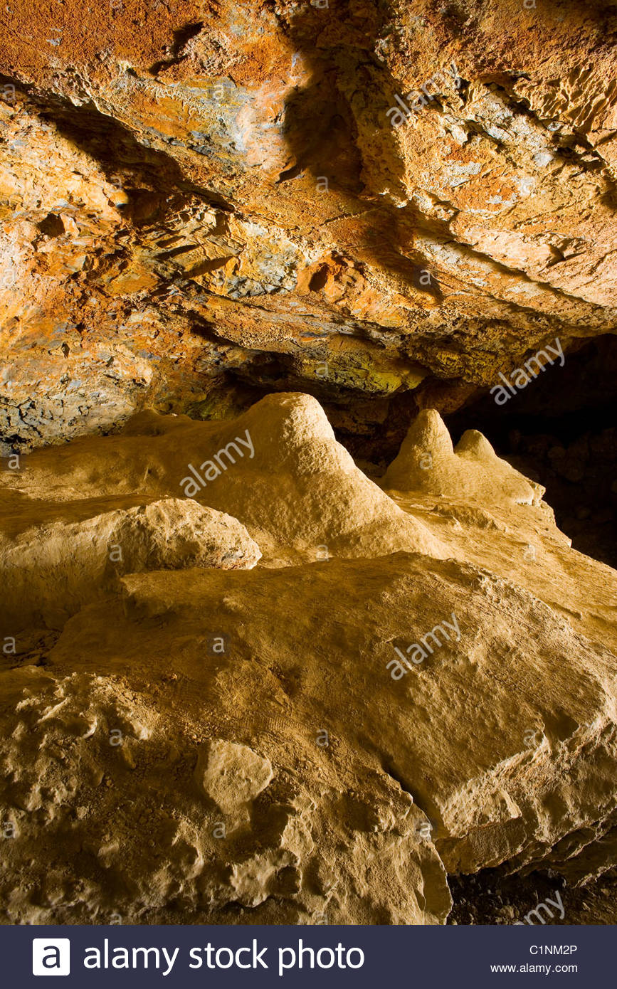 Peking Man Stock Photos & Peking Man Stock Images - Alamy