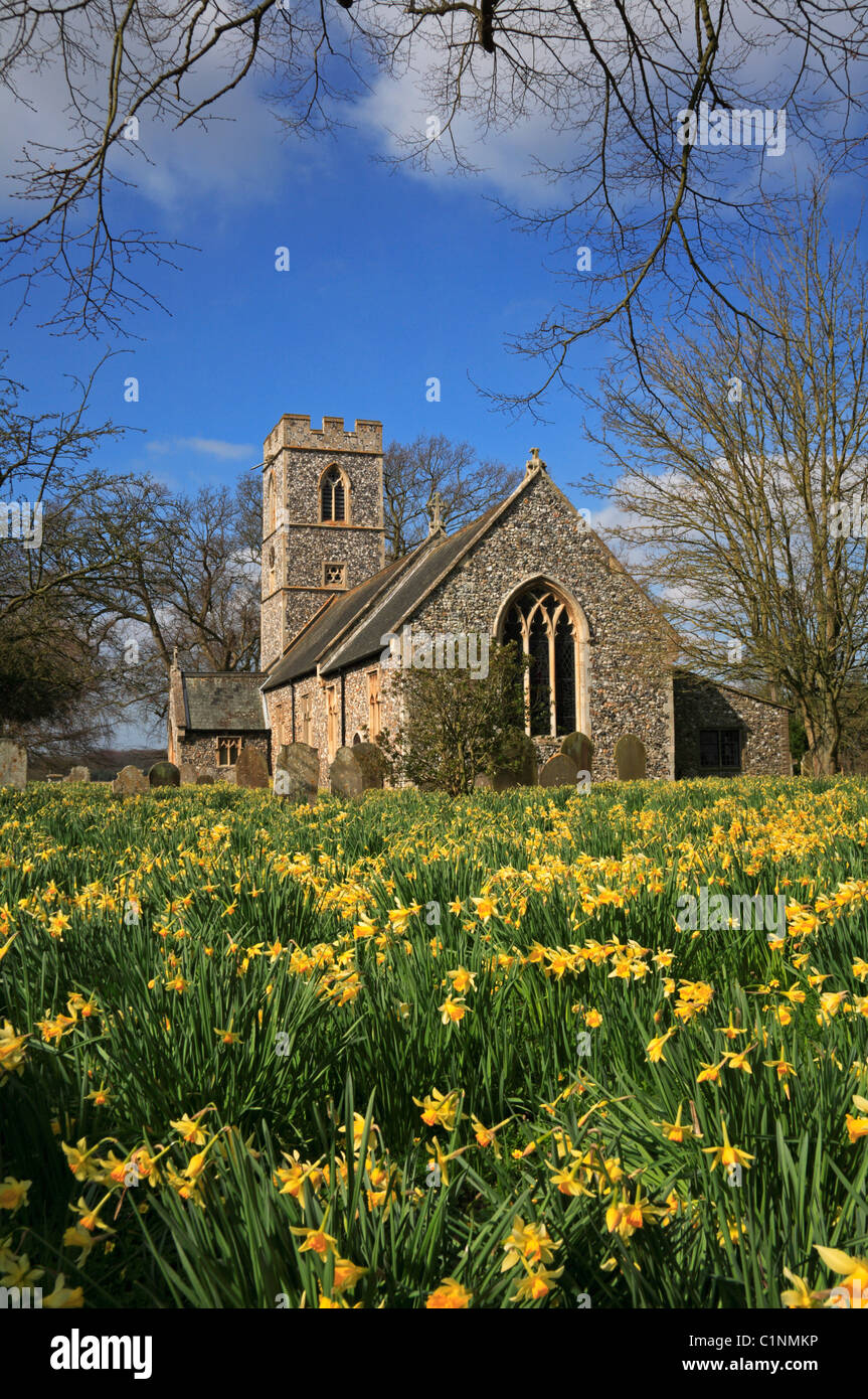 Daffodils In A Churchyard High Resolution Stock Photography and Images ...