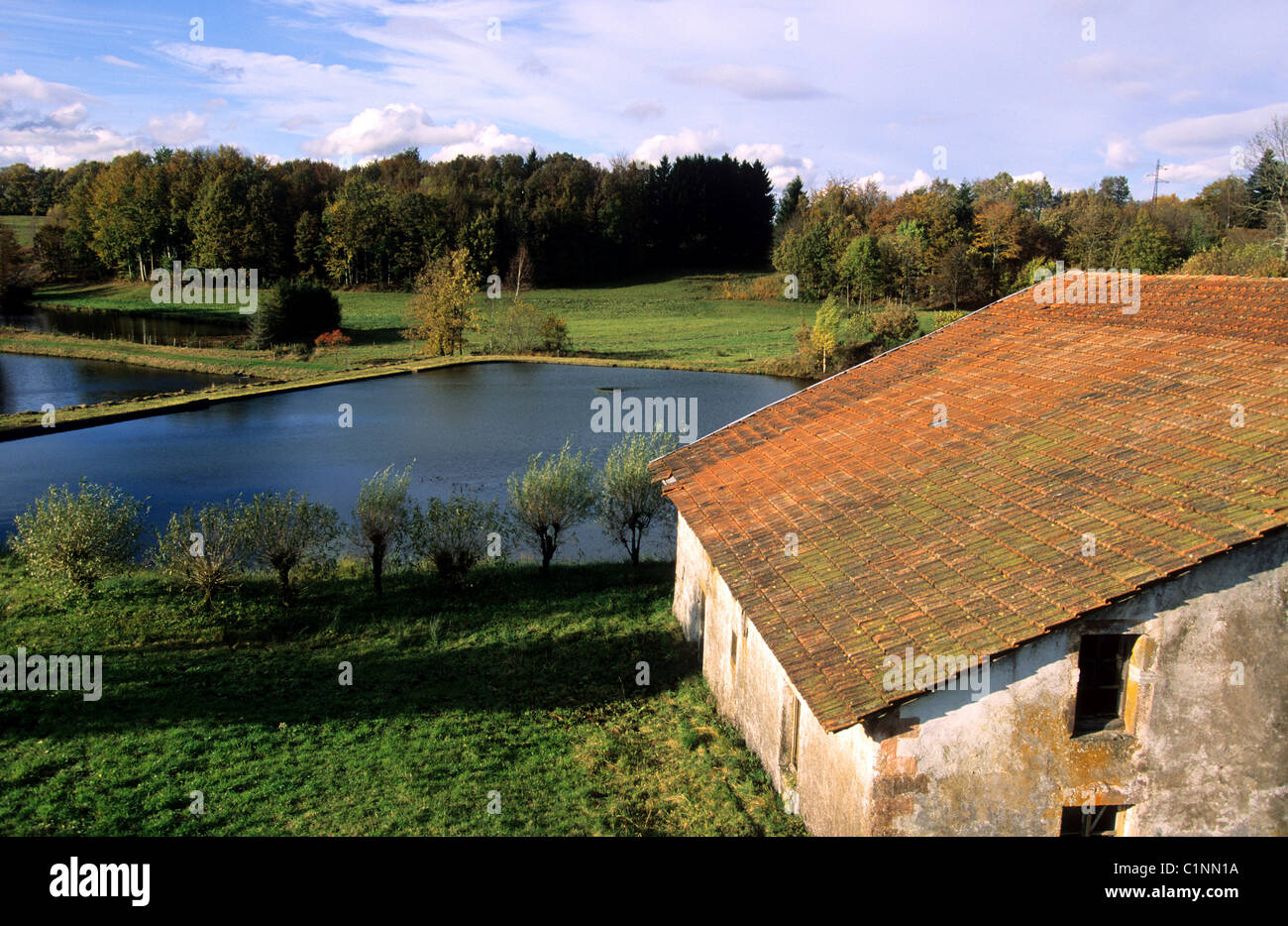 Mille etangs thousand ponds hi-res stock photography and images - Alamy