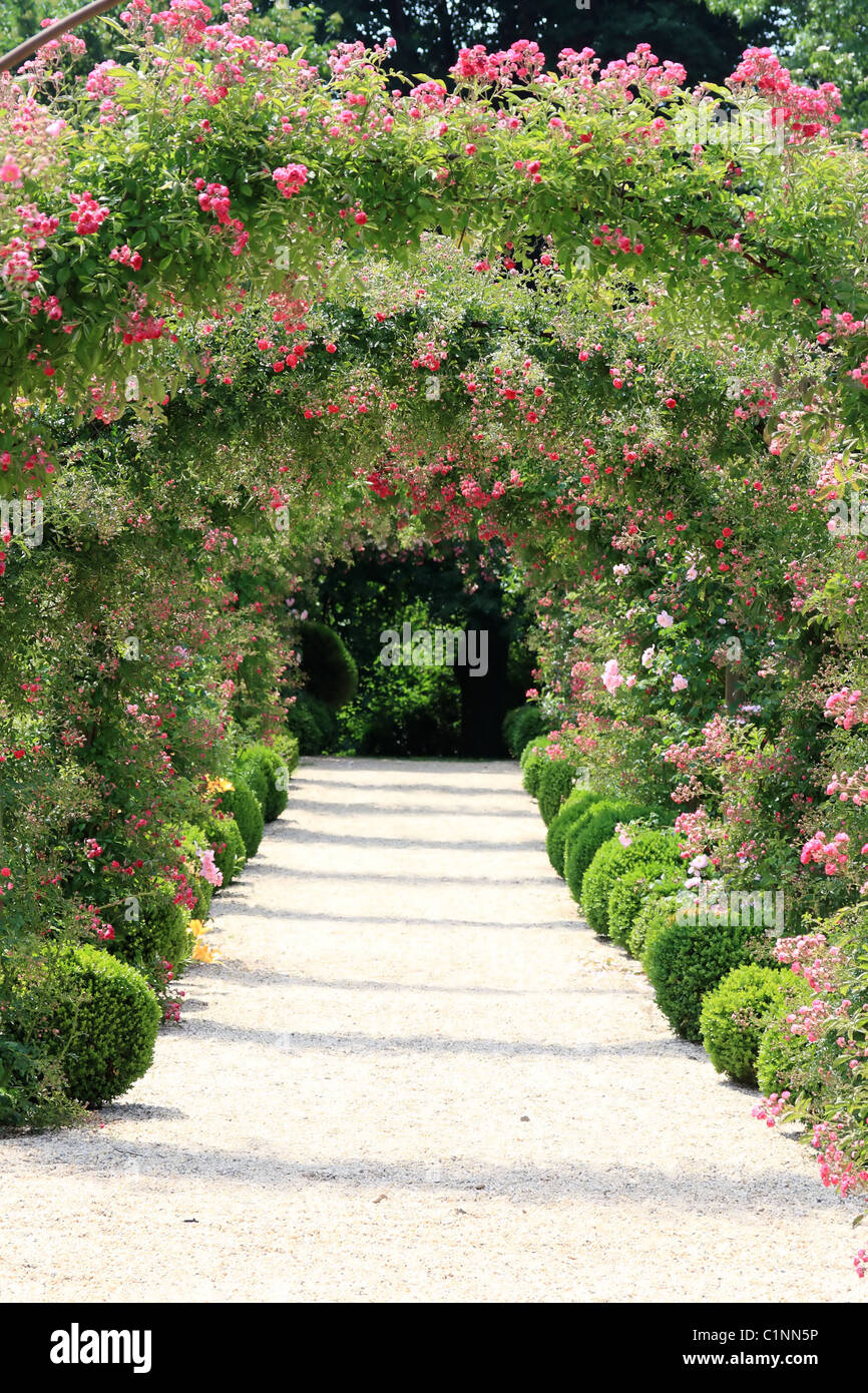 Rose Arch In the Garden Stock Photo - Alamy