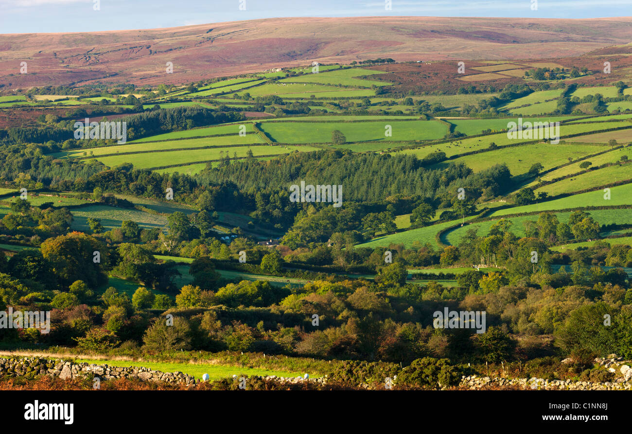 Patchwork fields in countryside. Widecombe in the Moor, Devon, England ...