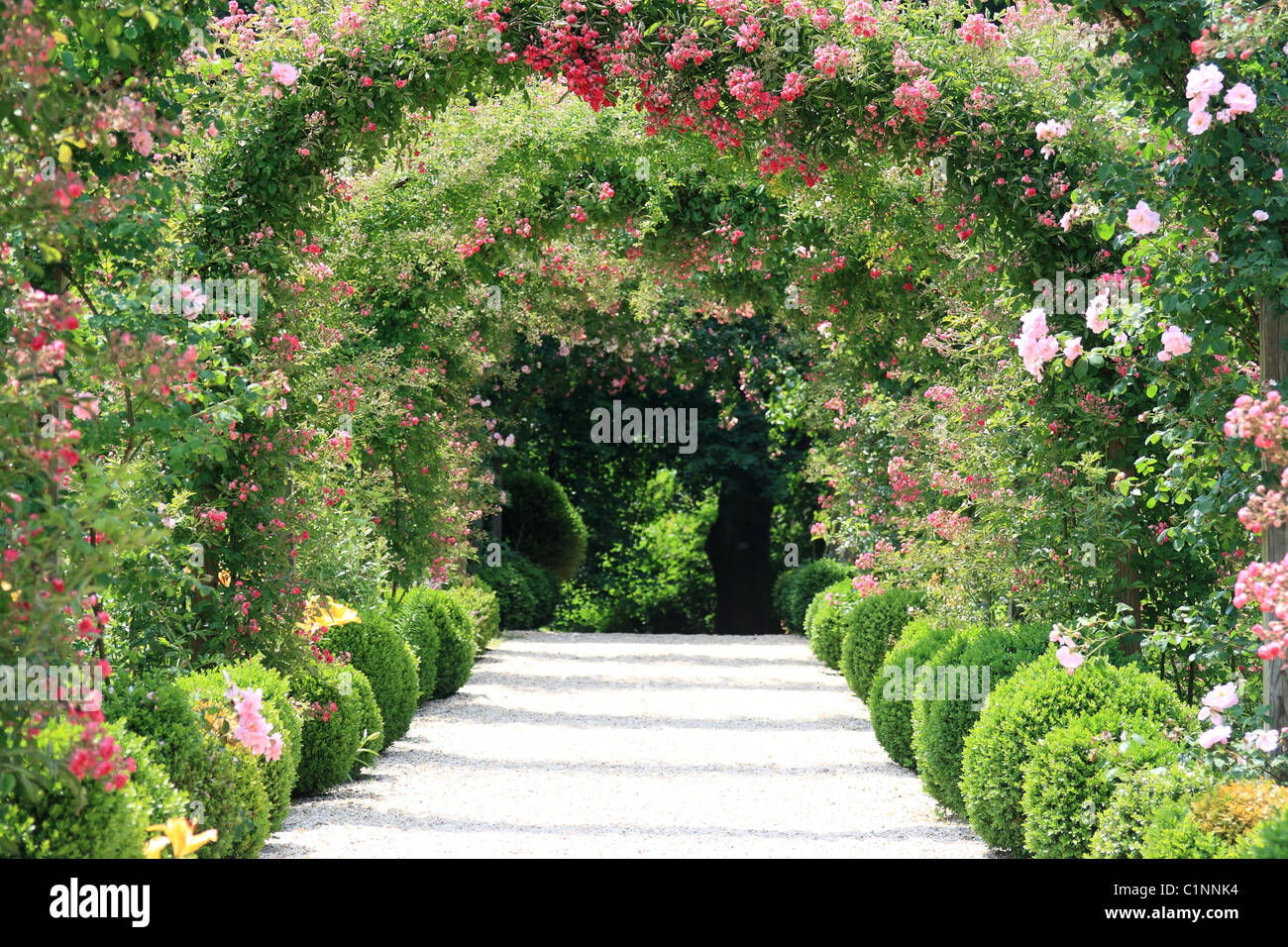 Rose Arch In the Garden Stock Photo - Alamy