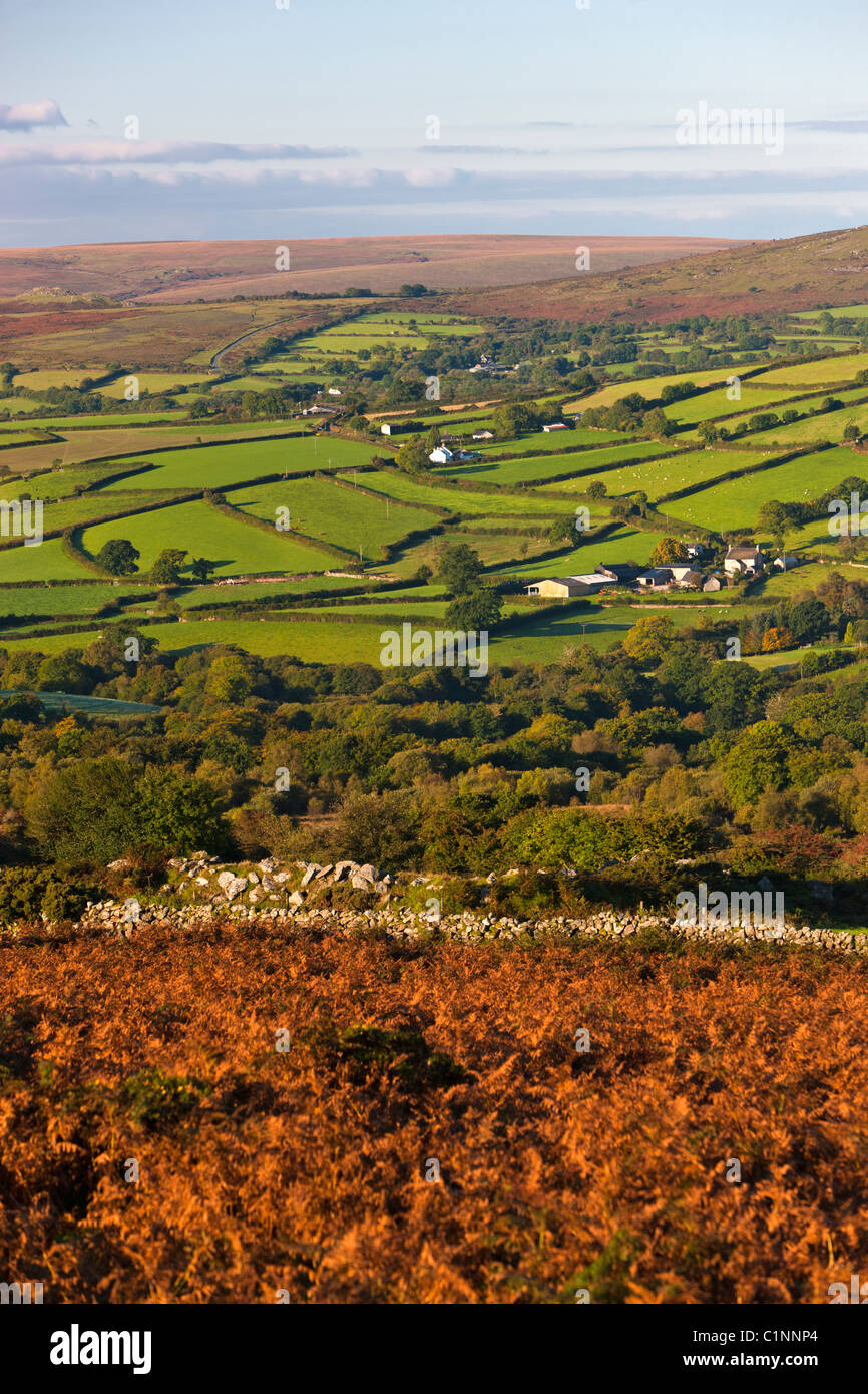 Patchwork fields in countryside. Widecombe in the Moor, Devon, England ...