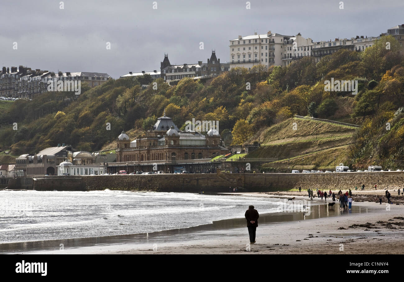 Scarborough district hi-res stock photography and images - Alamy