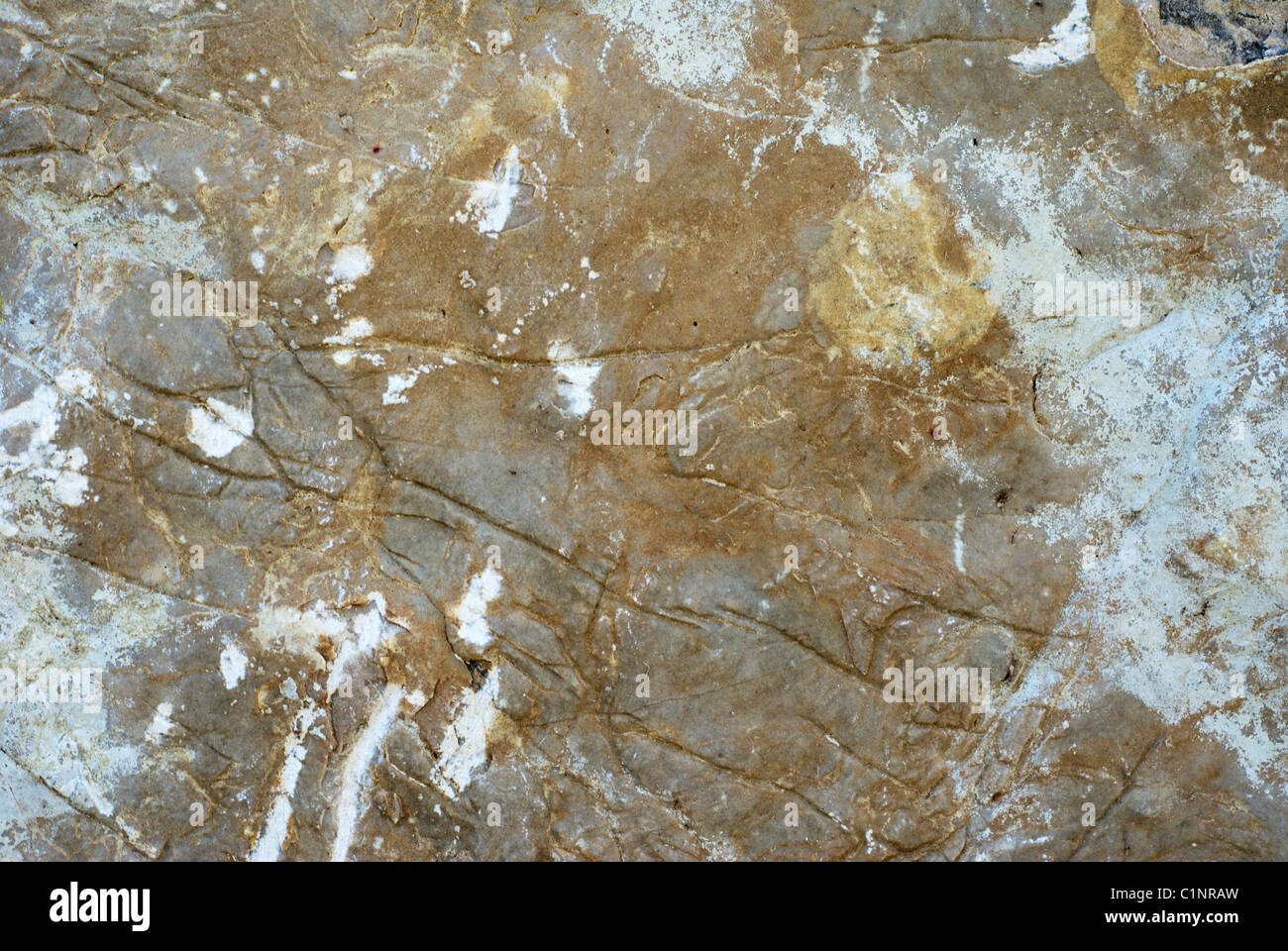 Stained granite hi-res stock photography and images - Alamy