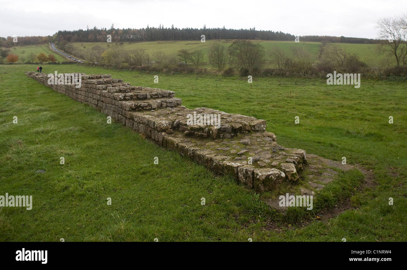Corbridge Roman Town High Resolution Stock Photography and Images - Alamy