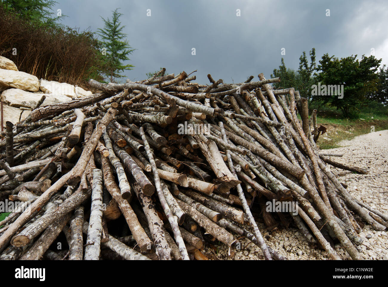 Pile of sticks branches hi-res stock photography and images - Alamy