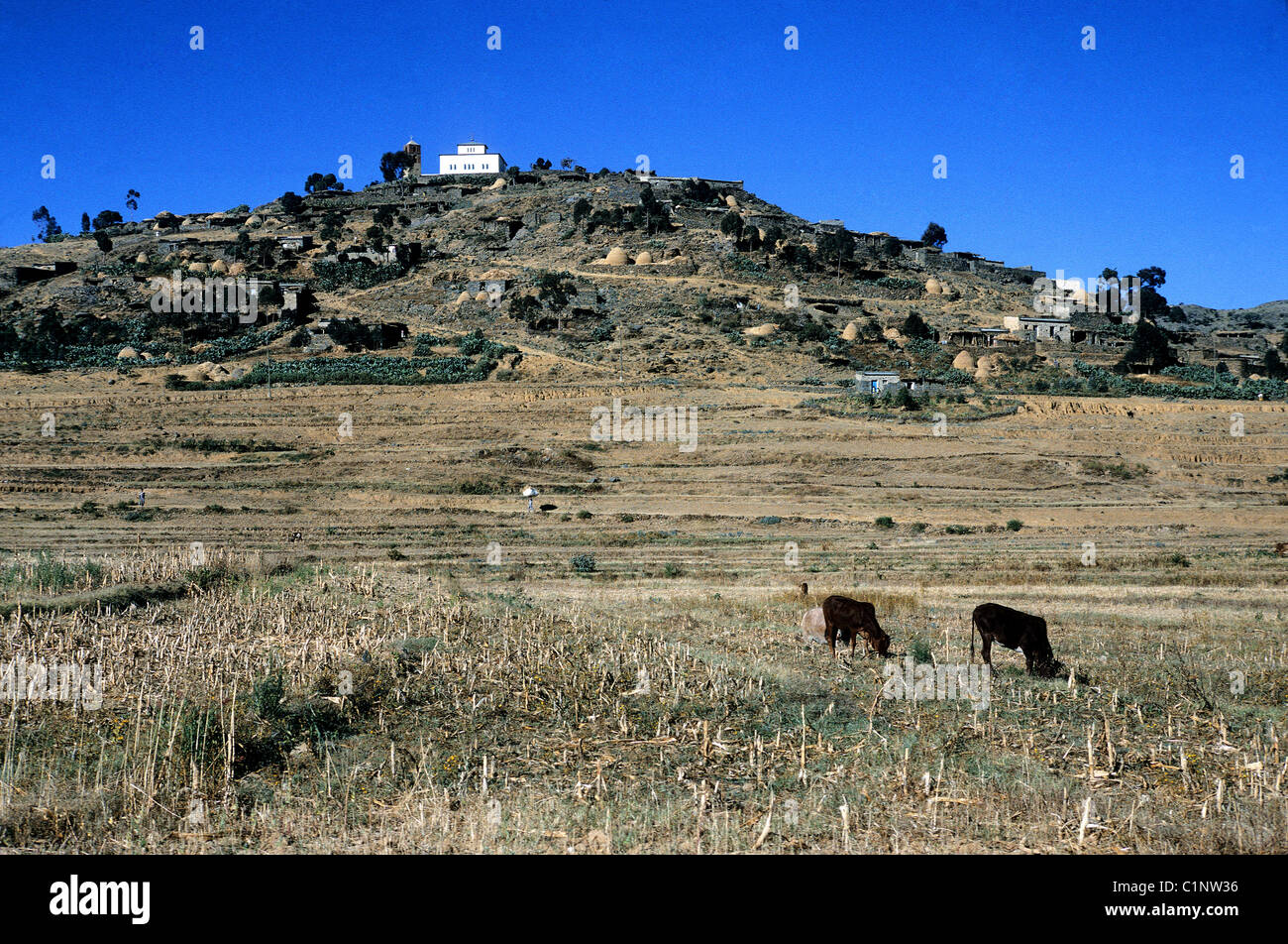 Abyssinian high plateau hi-res stock photography and images - Alamy