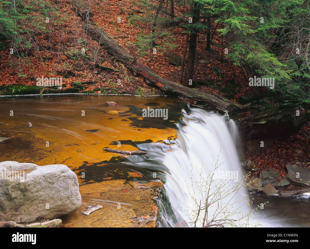Side view of Oneida waterfalls and falling water in Ricketts Glen State ...