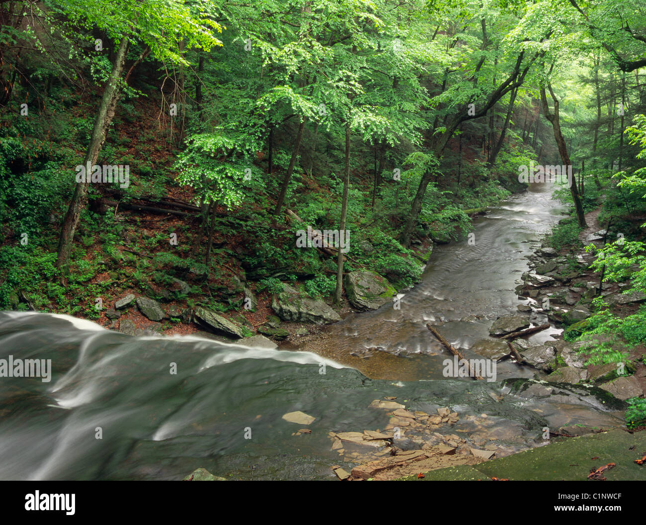 Pennsylvania waterfall hi-res stock photography and images - Alamy
