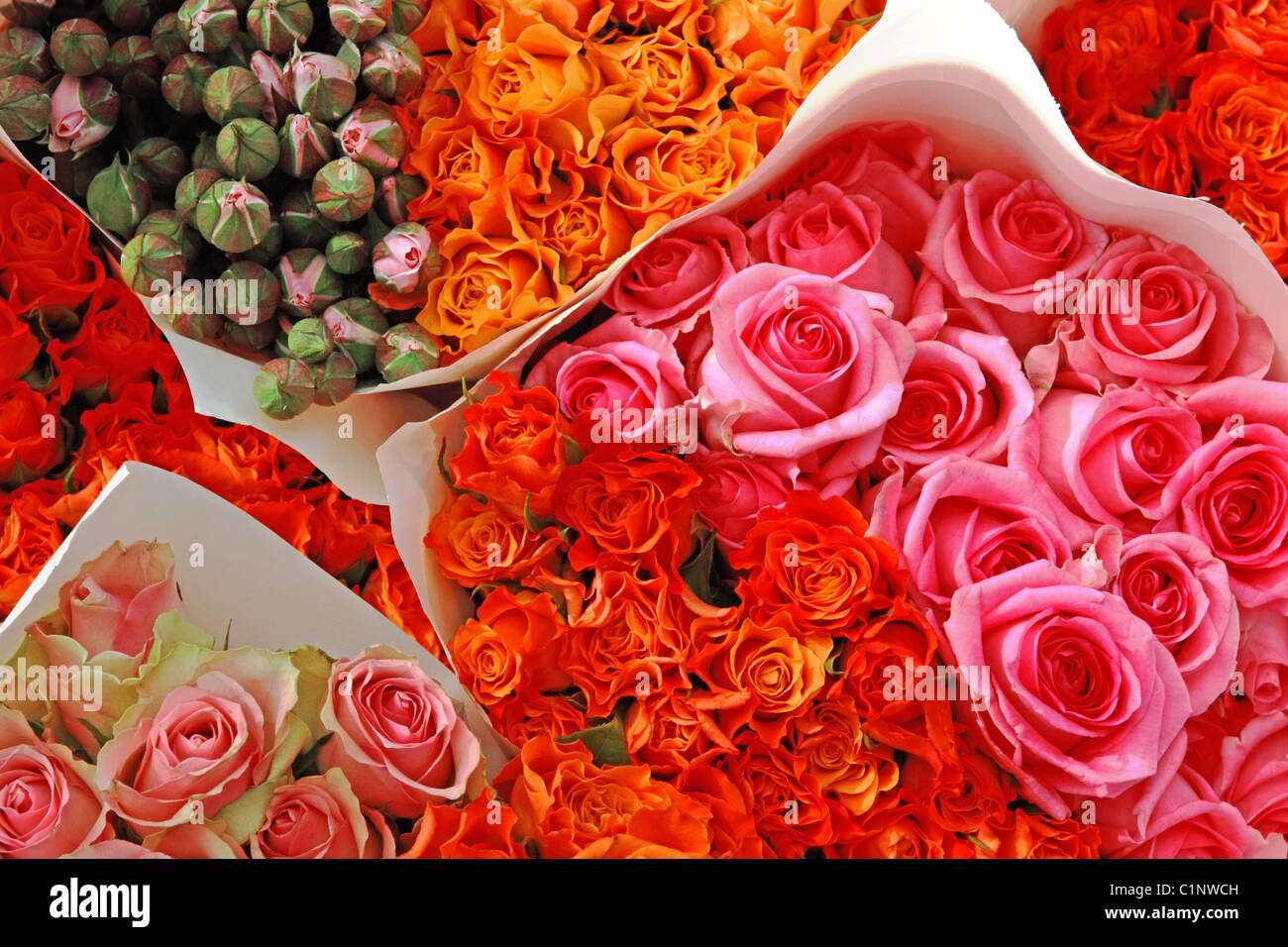 bouquets of colorful roses Stock Photo - Alamy