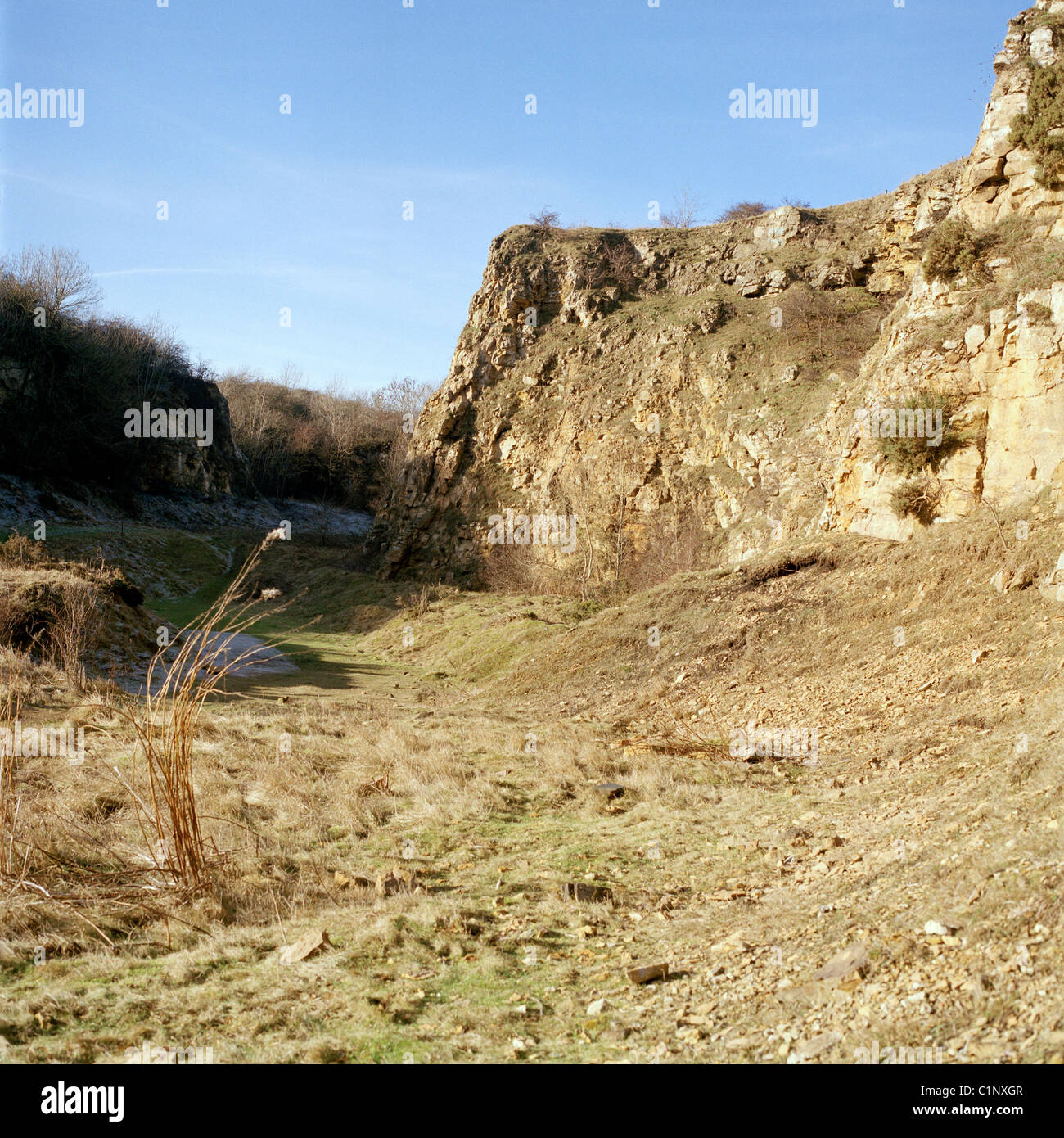 Magnesium limestone hi-res stock photography and images - Alamy