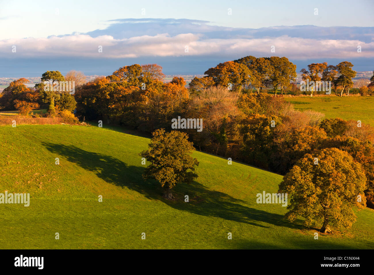 Patchwork fields hi-res stock photography and images - Alamy