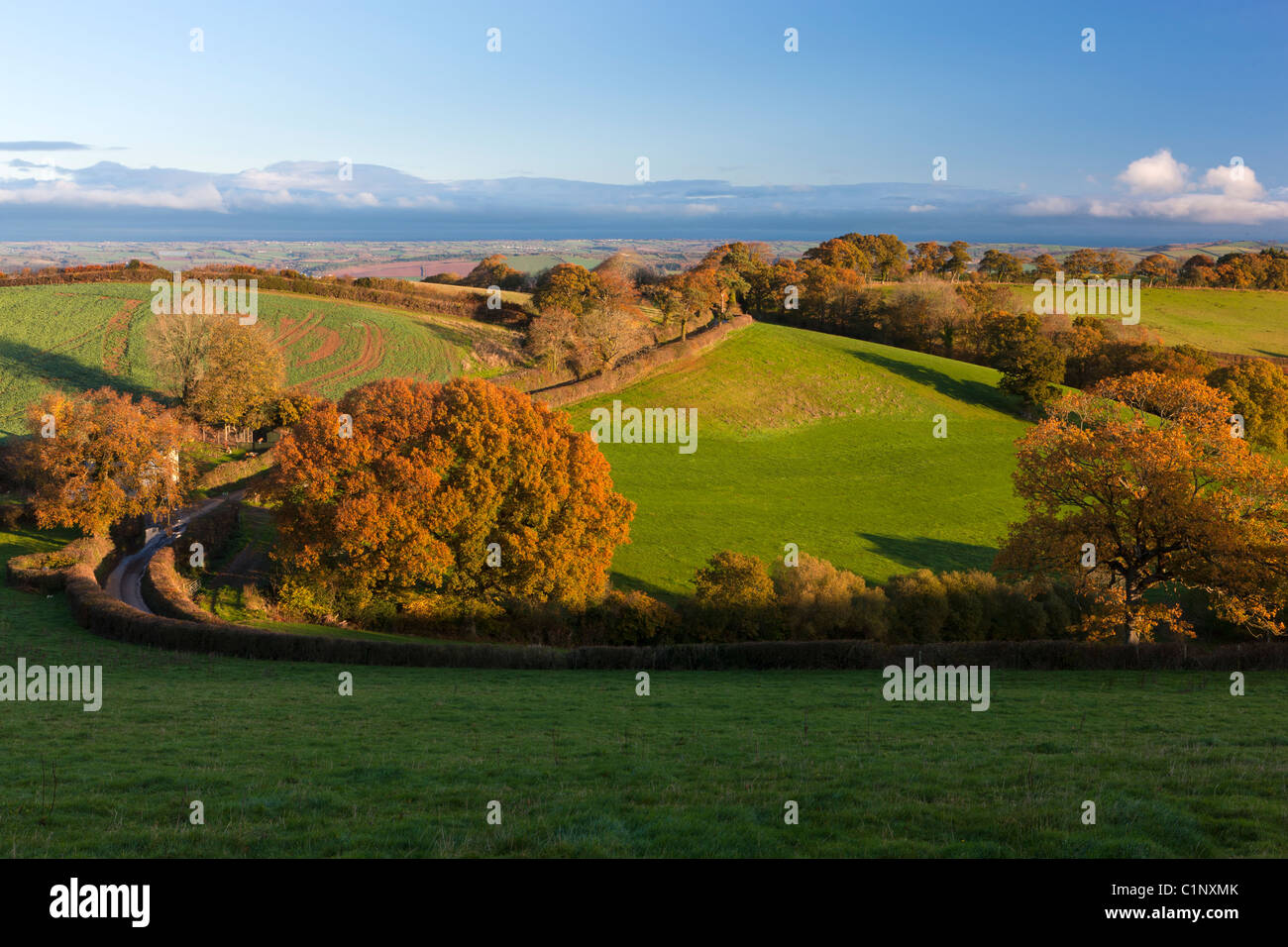 Patchwork fields in countryside near Tedburn St Mary, Devon, South West ...