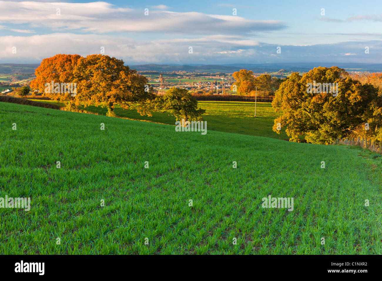Patchwork fields in countryside near Tedburn St Mary, Devon, South West ...