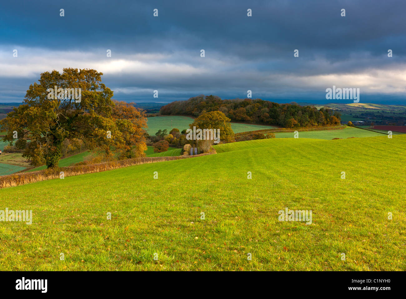 Crediton devon hi-res stock photography and images - Alamy