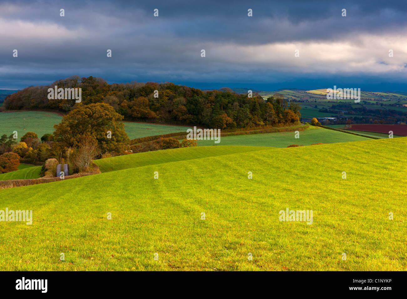 Crediton devon hi-res stock photography and images - Alamy