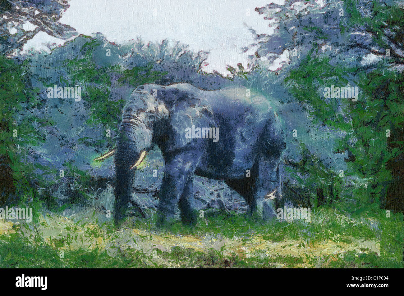 Bush basher hi-res stock photography and images - Alamy