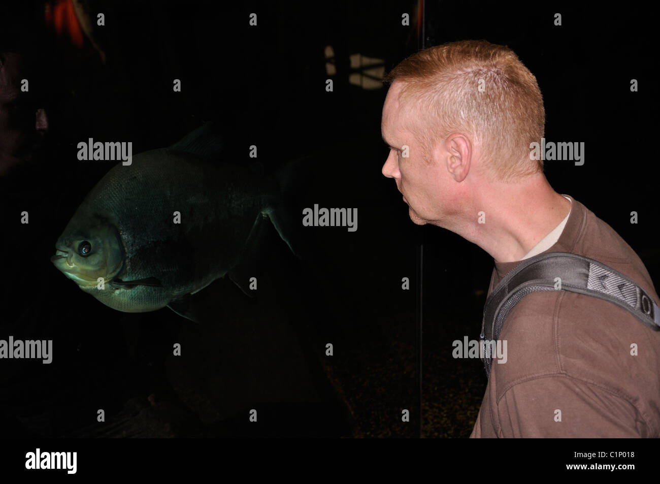 Visiting an aquarium hi-res stock photography and images - Alamy