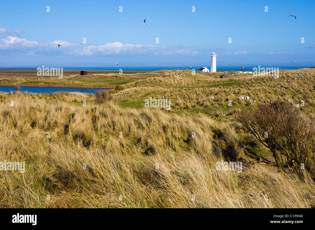 South Walney Nature Reserve Stock Photo - Alamy