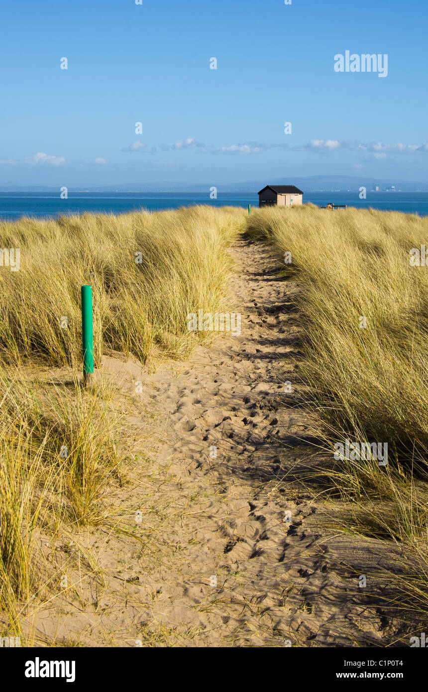 Path in the sand dunes Stock Photo - Alamy