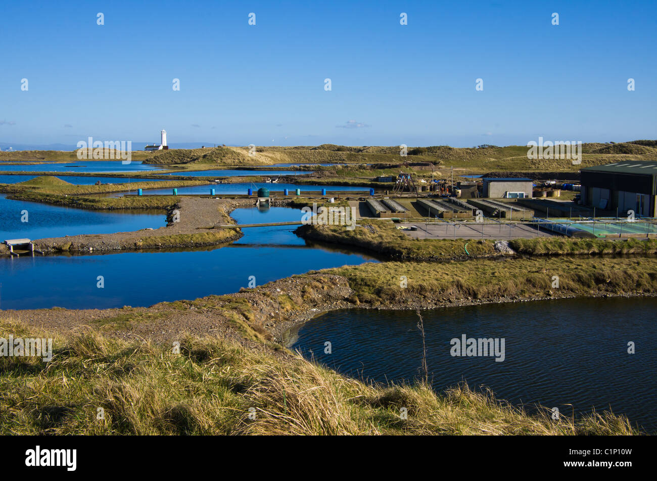 South Walney Oyster Farm Stock Photo - Alamy
