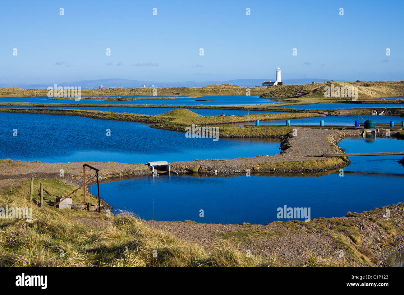 South Walney Oyster Farm Stock Photo - Alamy