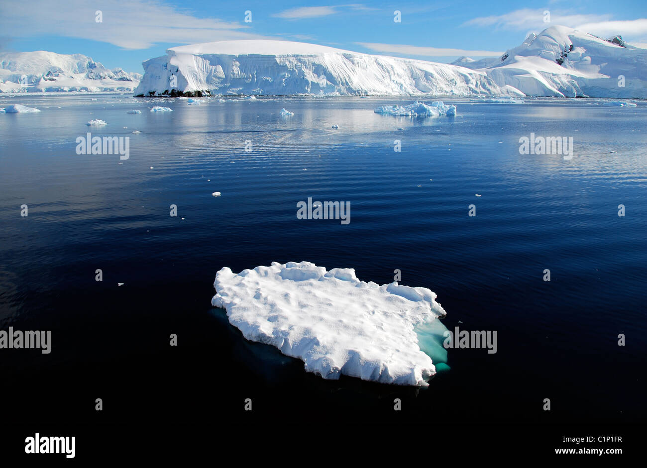 small ice floe in the sea, with antarctic behind it Stock Photo - Alamy