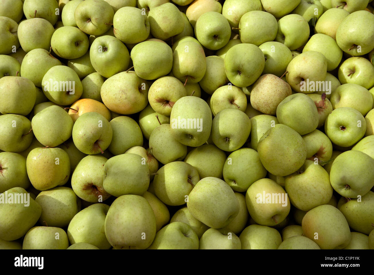 Golden apple fruit hi-res stock photography and images - Alamy