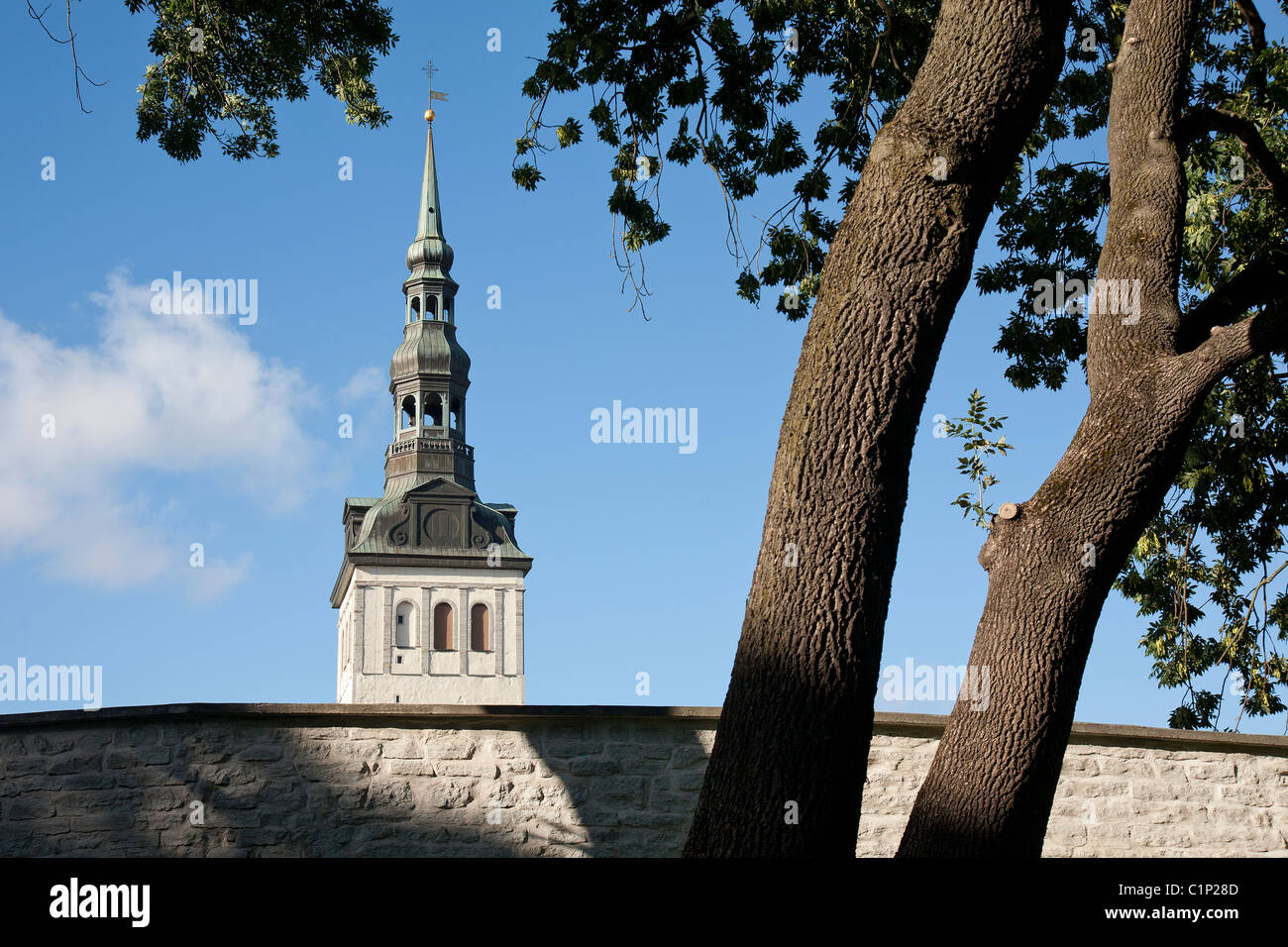 Picture of St. Nicholas Church Tower in Old Medieval Tallinn, Estonia ...