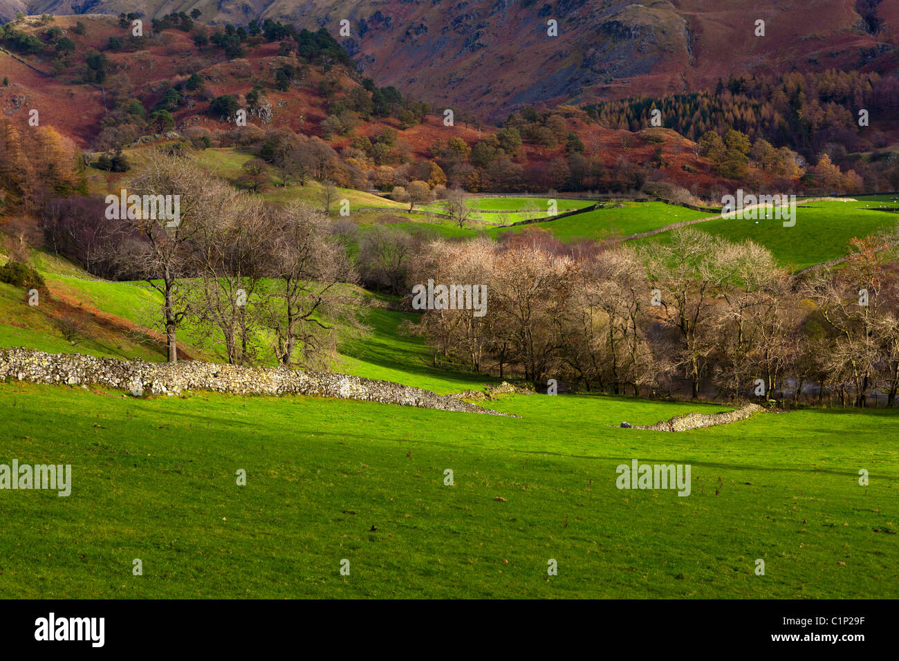 View from Raven Crag towards Watson's Dodd, Lake District National Park ...