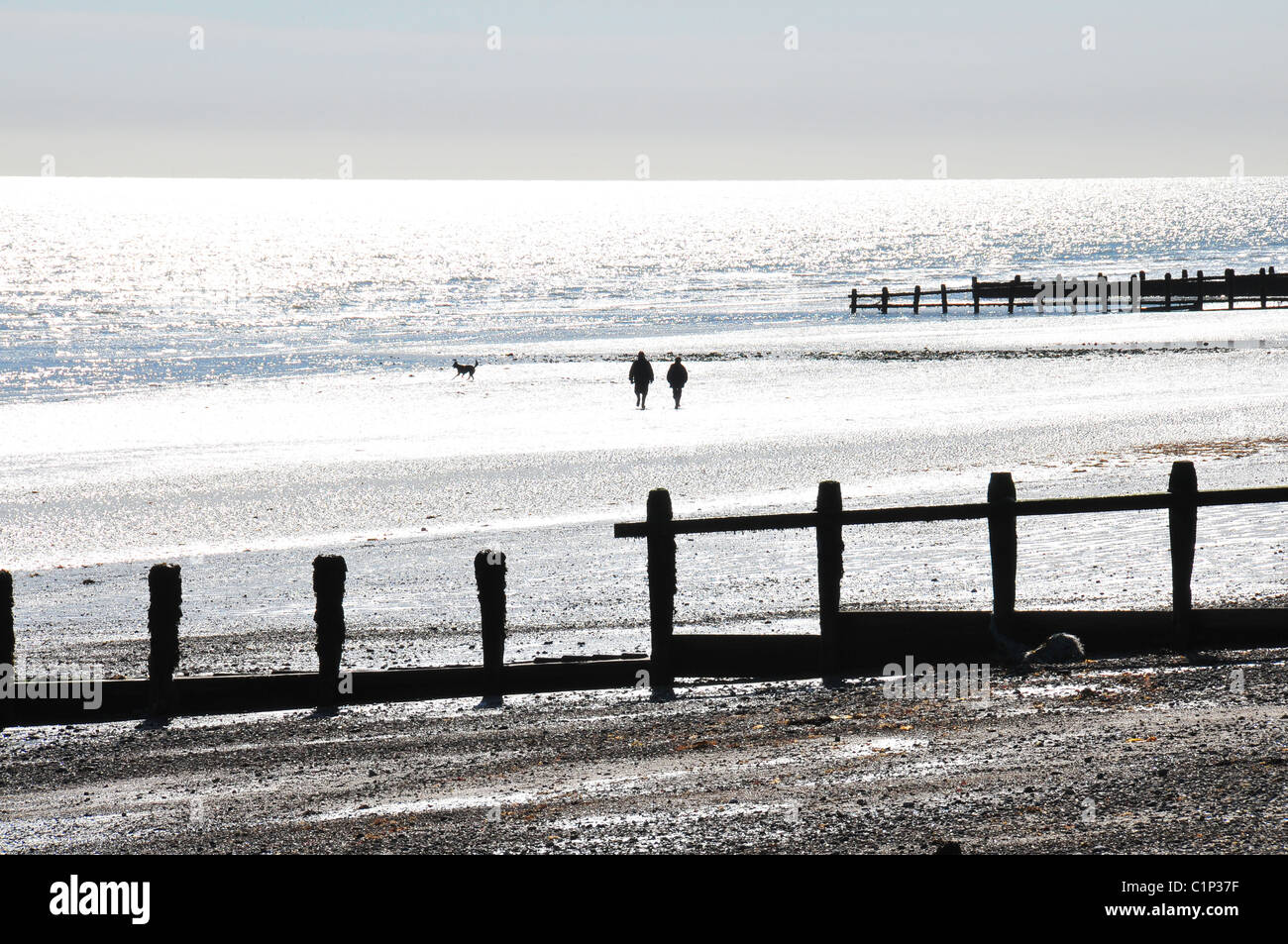 Climping beach sussex dog hi-res stock photography and images - Alamy