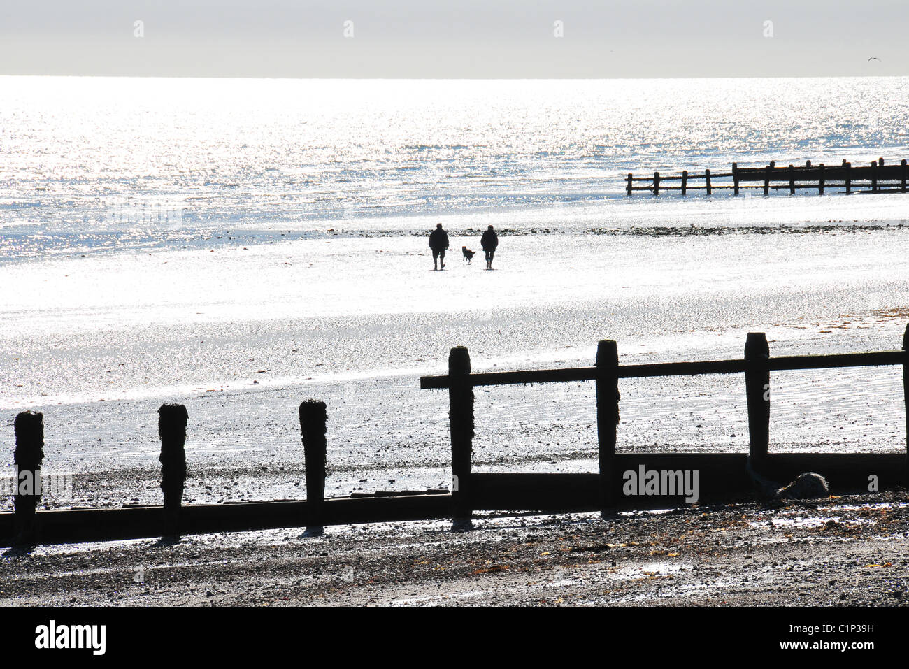 Climping beach sussex dog hi-res stock photography and images - Alamy