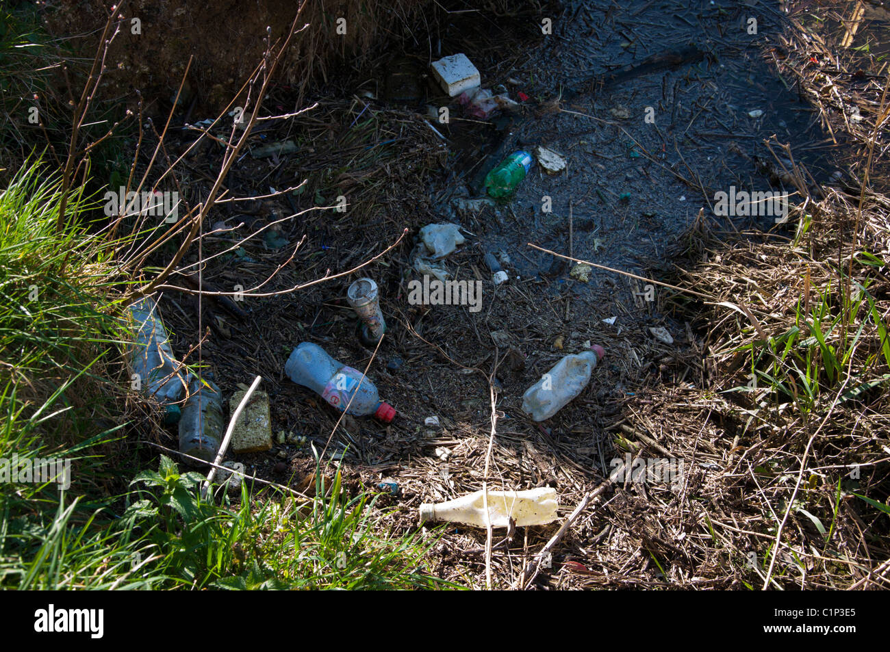 Rubbish litter in the Norfolk Broads Stock Photo - Alamy